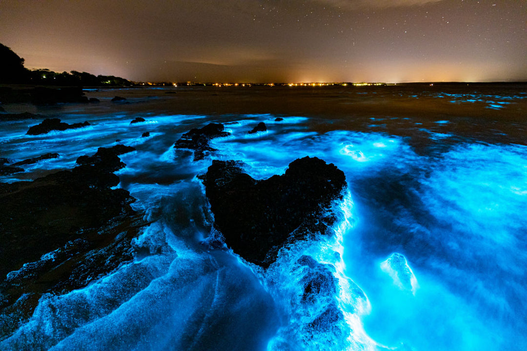 About Us – Jordan Robins Photography