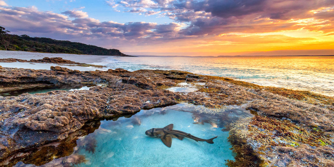 Jordan Robins Photography