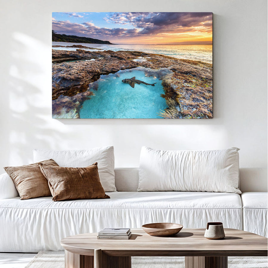 Jordan Robins Photography