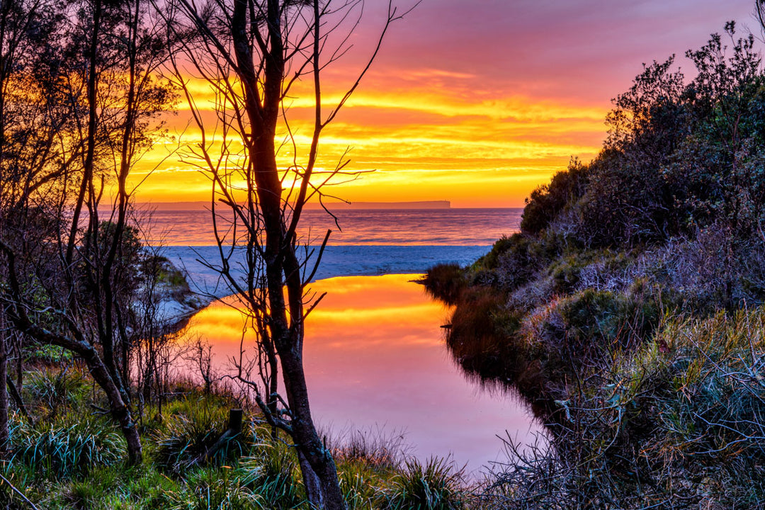 Greenfield Beach Sunrise Through The Trees Print | Jervis Bay – Jordan ...