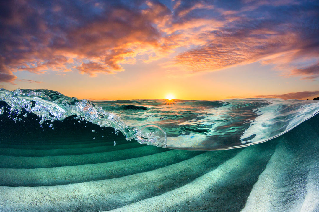 Jordan Robins Photography